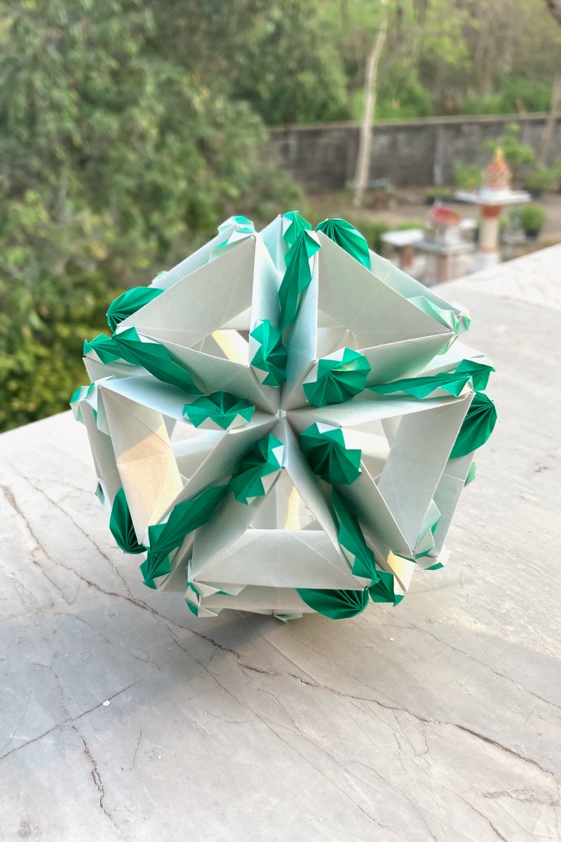 Leaf Snap – PrwOrigami